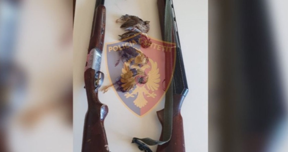 Gjuanin shpendë të egër me armë gjahu, 3 persona gjobiten me nga 50 ...