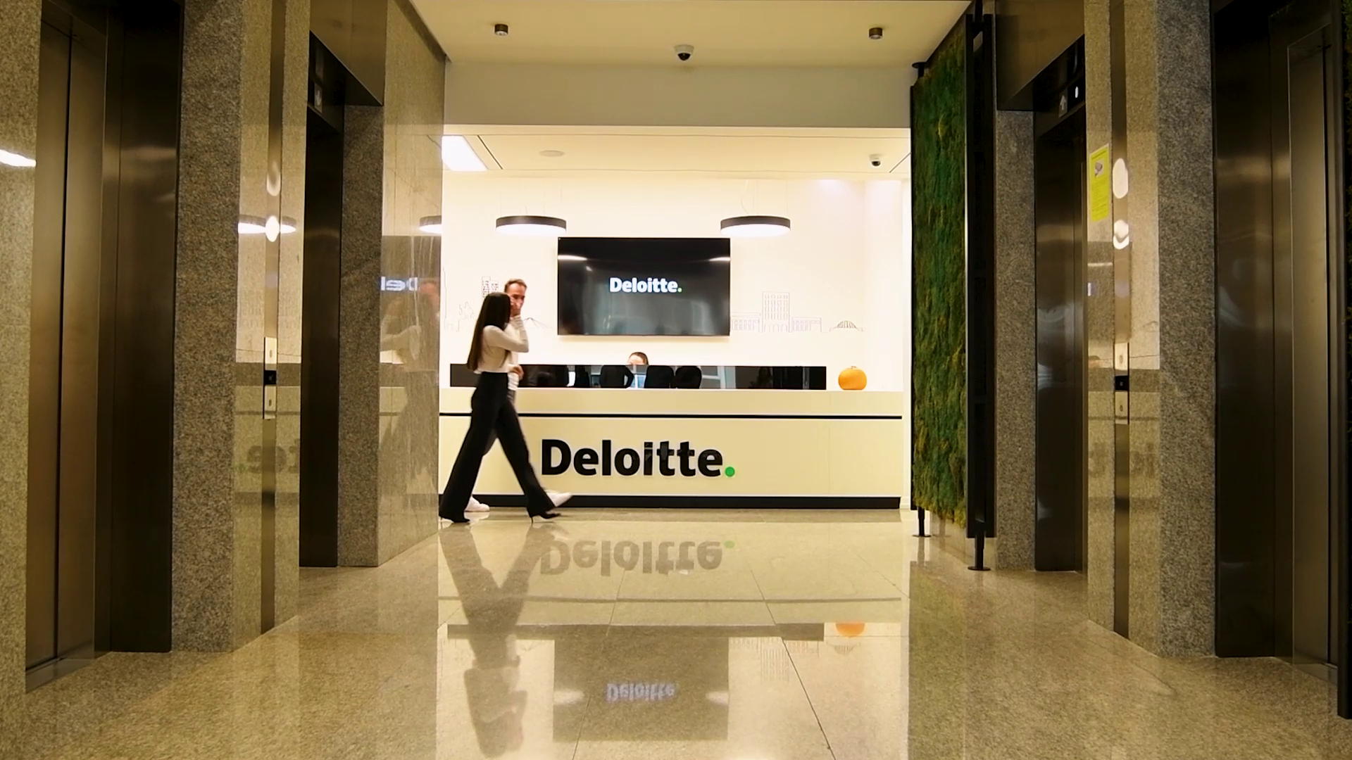 Partneritet dhe standarde, bashkëpunimi BALFIN-Deloitte në fushën e ...