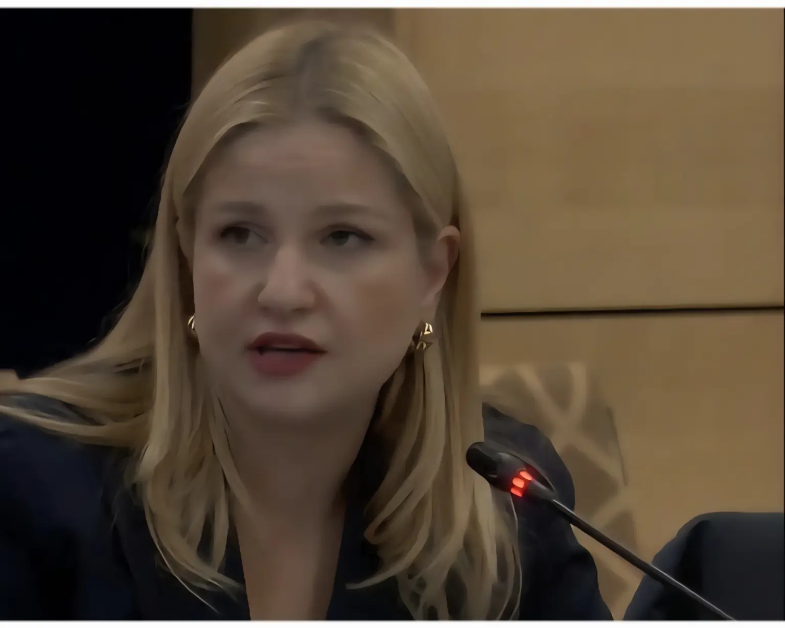 Eurodeputetja suedeze me origjinë shqiptare: Është moment historik, ju ...